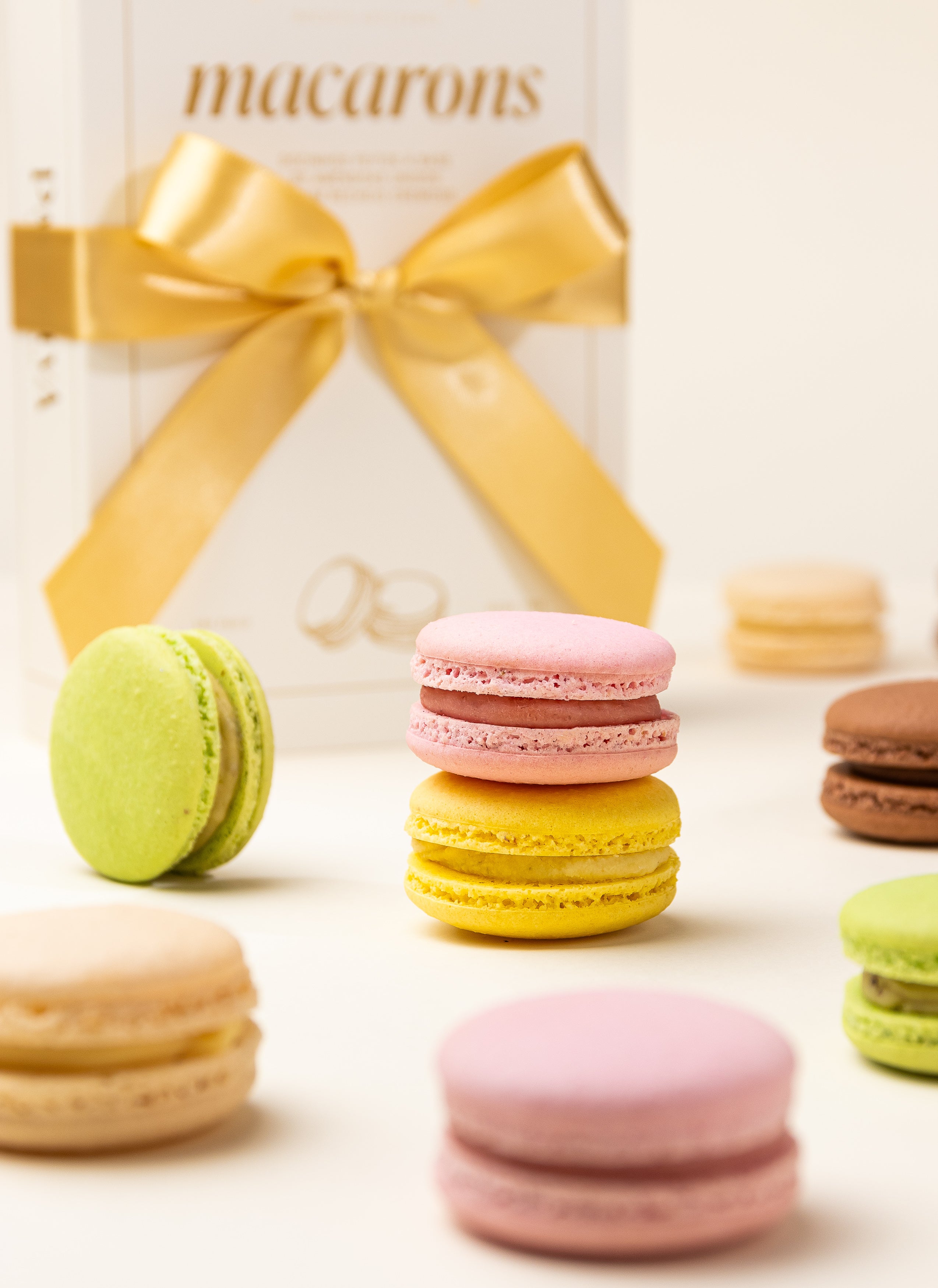 Macarons Sortidos Pati Piva | Caixa com 10 Deliciosos Sabores